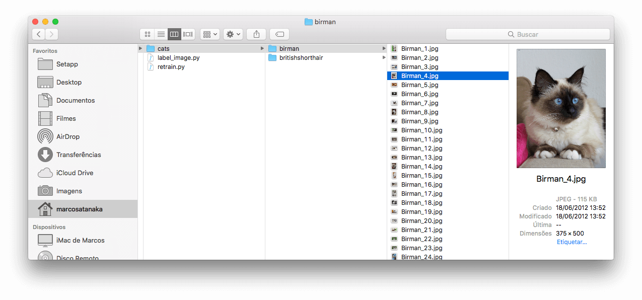 Classificação de imagens com deep learning e TensorFlow - Code Journey